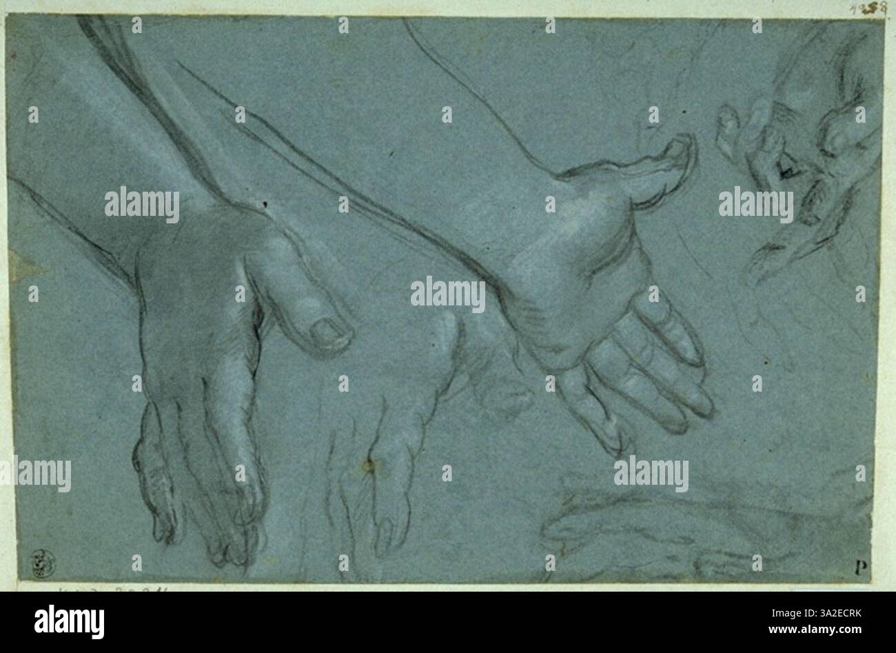Various hand studies, focusing on different gestures and anatomical ...