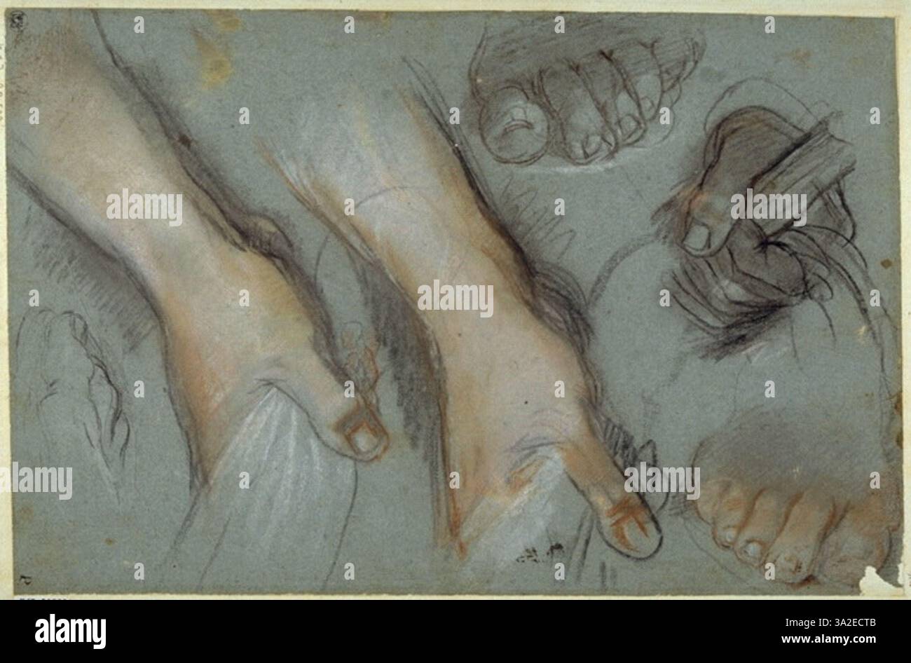 Study of a hand grasping fabric, another hand holding a staff, and ...