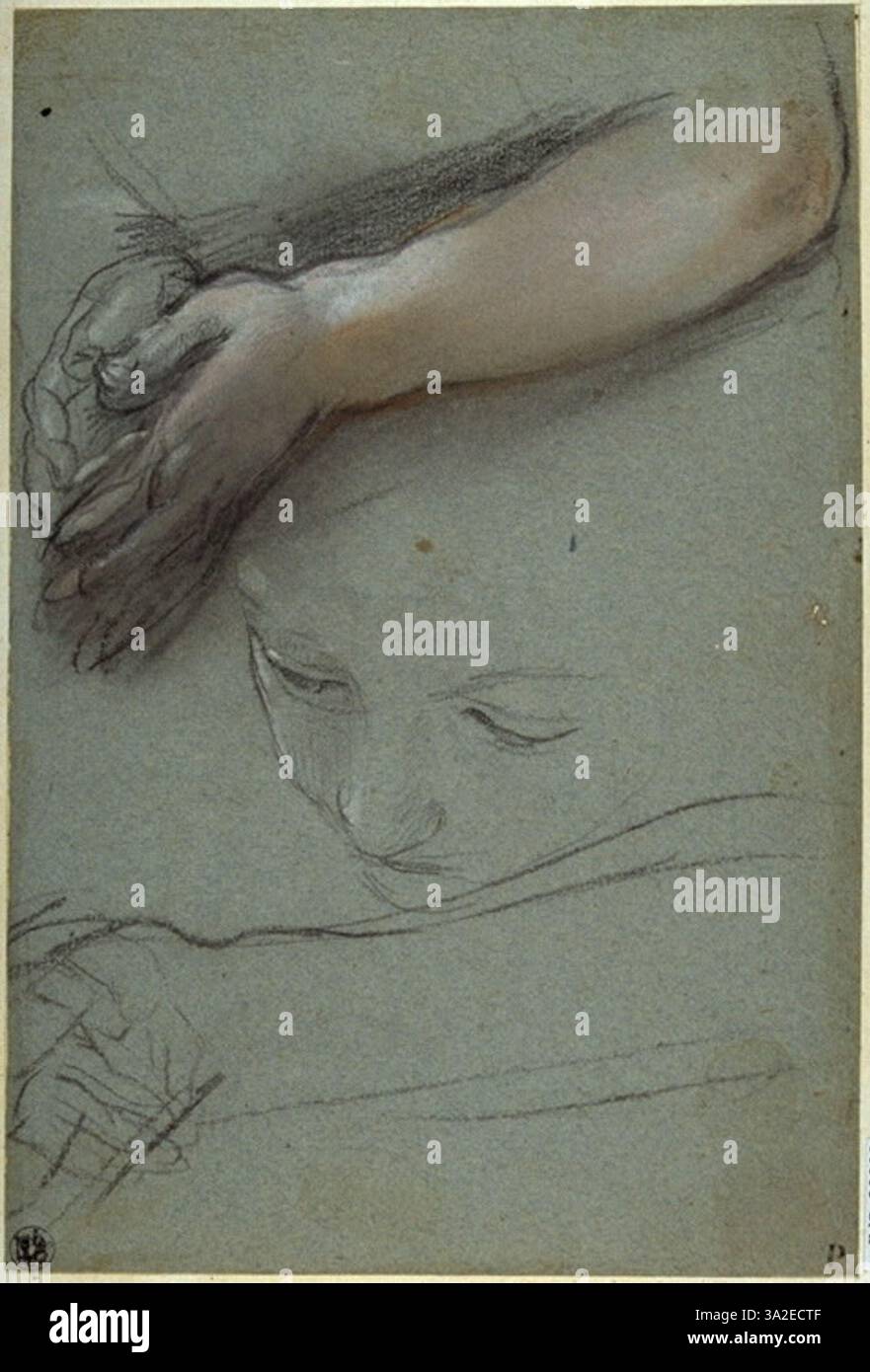 This study by Barocci combines an arm study with a sketch of a face ...