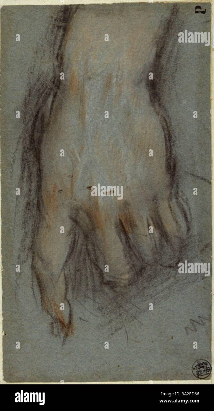 Barocci’s simple yet detailed study of a hand, highlighting the ...