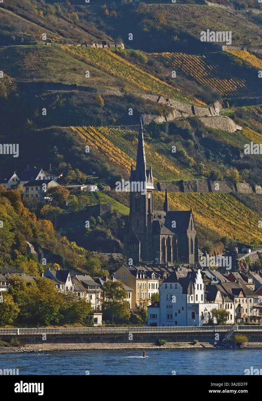 View across the Rhine from Bacharach to Lorch with the parish church of ...