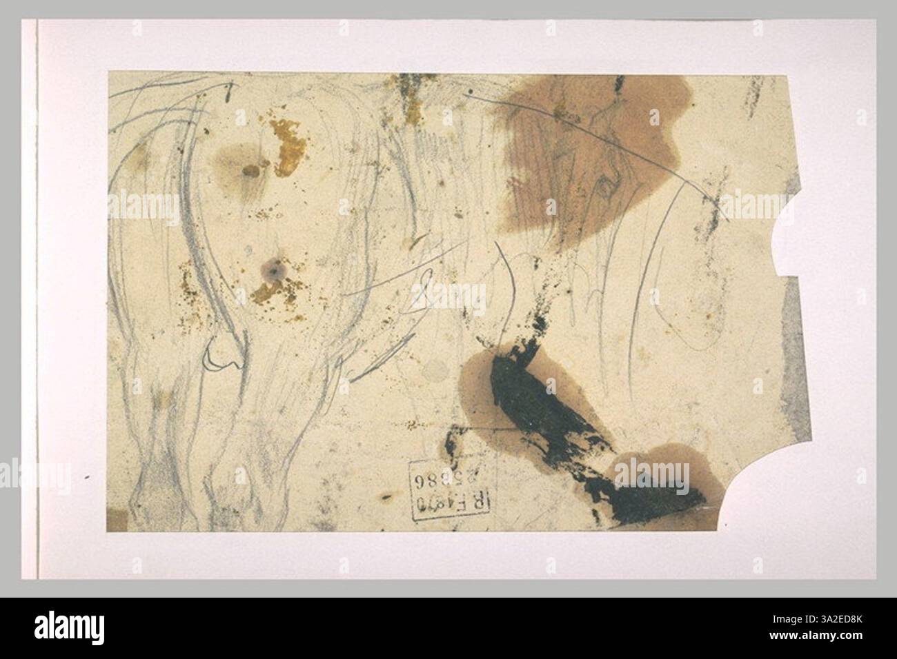This study focuses on the hindquarters of a horse, emphasizing the form ...