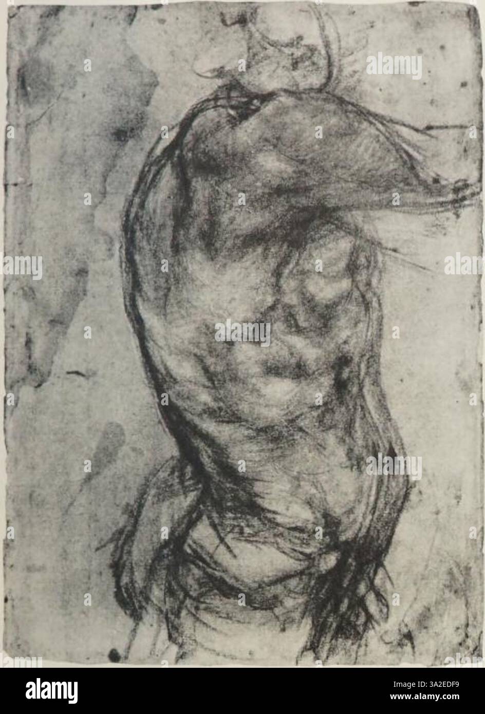 In this 1494 painting by Pontormo, the artist uses his signature ...