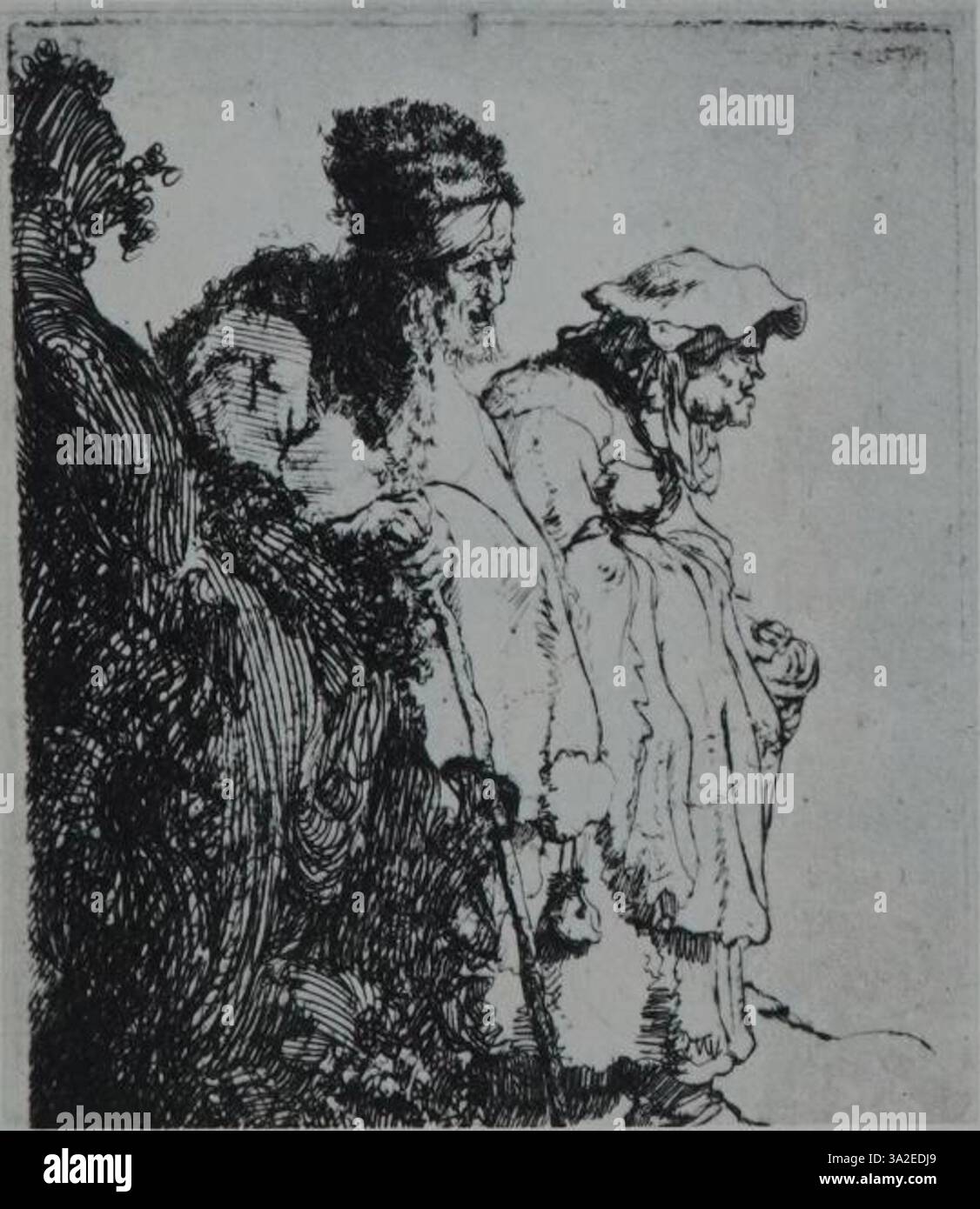 'White and Boon B165-IV detail' presents a close-up view of the subject, emphasizing Rembrandt's ...