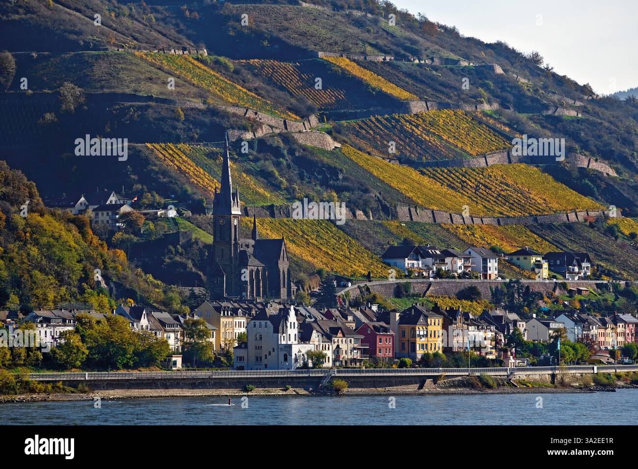 View across the Rhine from Bacharach to Lorch with the parish church of ...