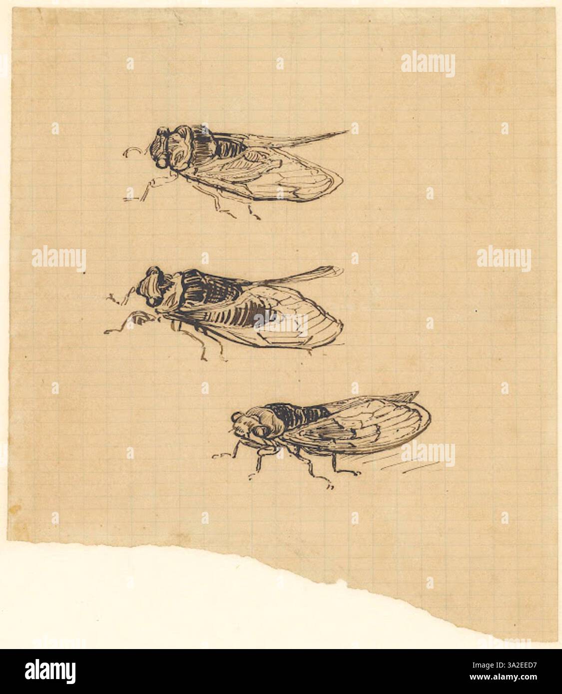 This artwork by Vincent van Gogh displays his distinct use of thick ...