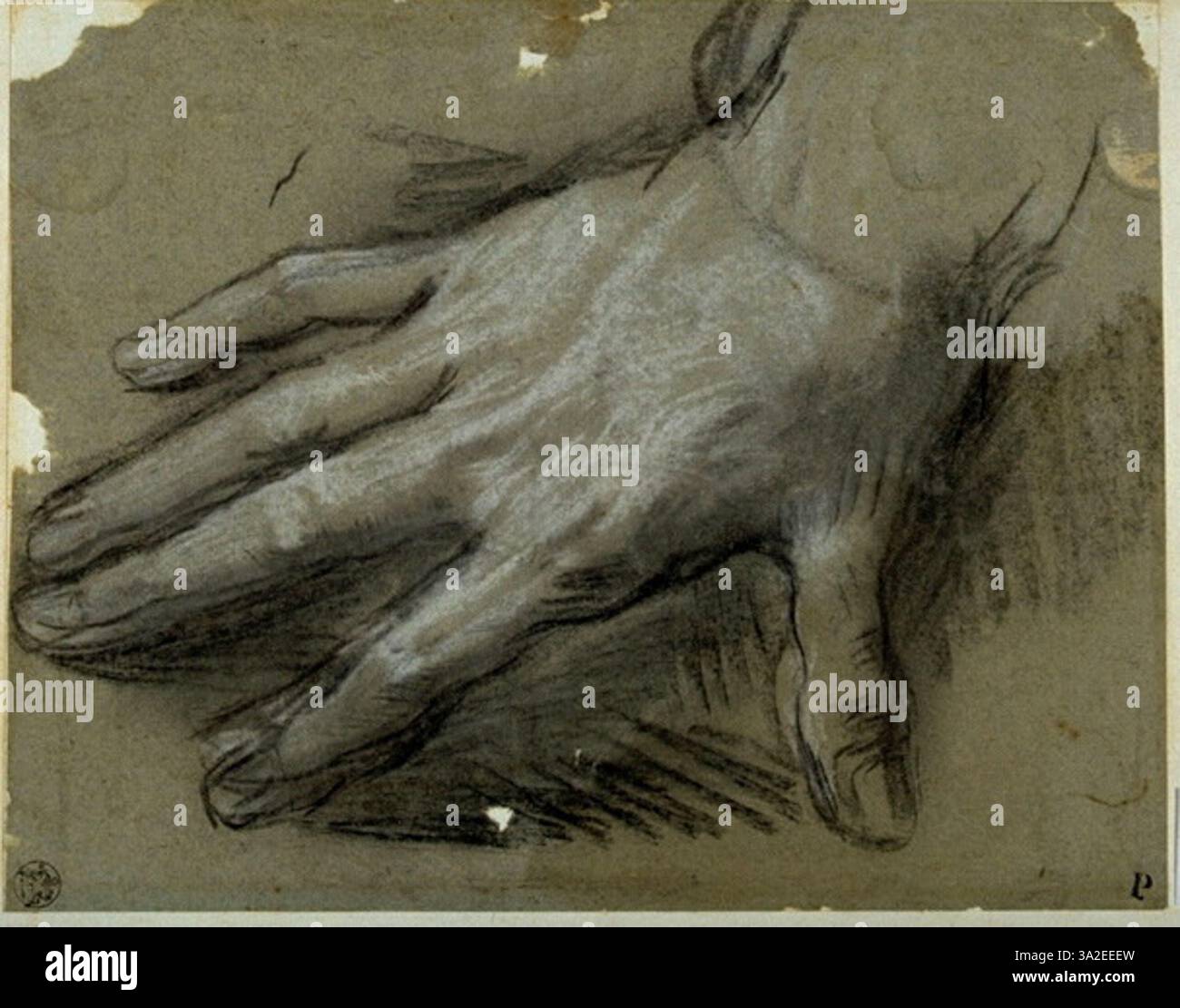 Barocci’s study of a hand with spread fingers, focusing on the details ...