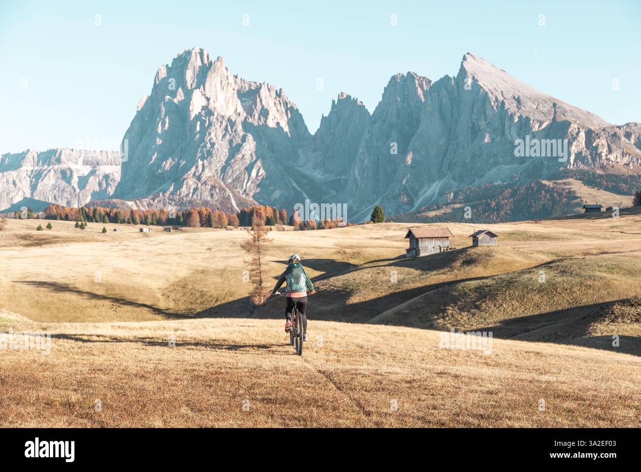 Mountain biker on a scenic trail in Alpe di Siusi, Dolomites, Italy ...