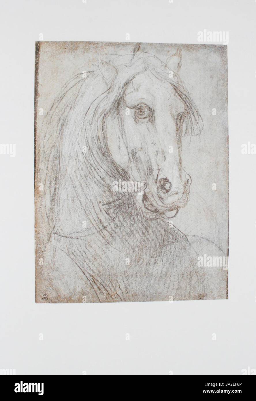 This drawing by Raphael, part of the Woodner Collection, depicts a ...