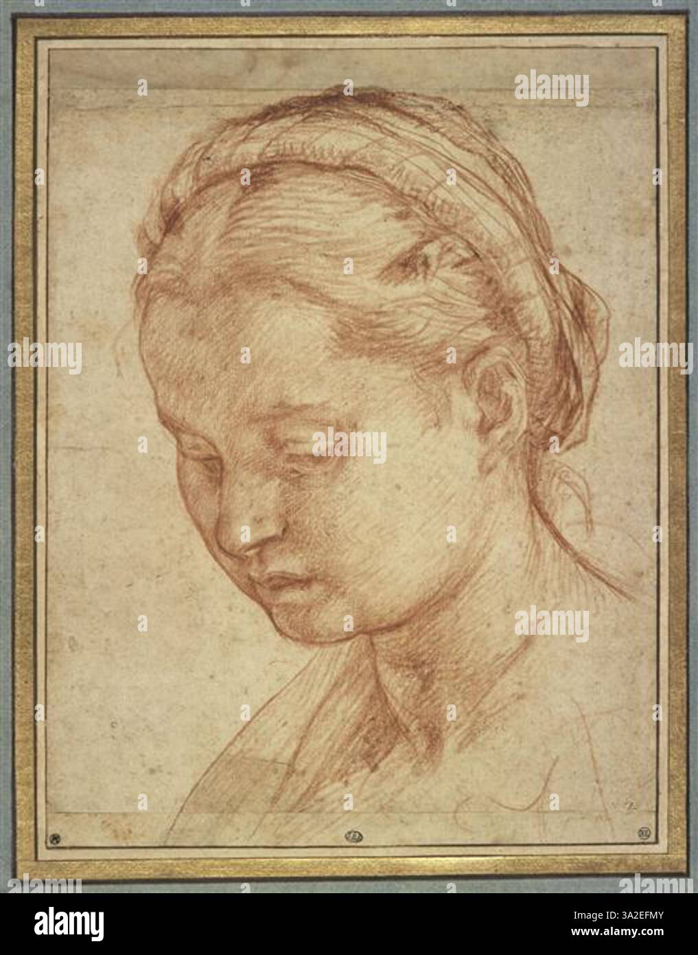This study by Andrea del Sarto shows the head of a young woman wearing ...