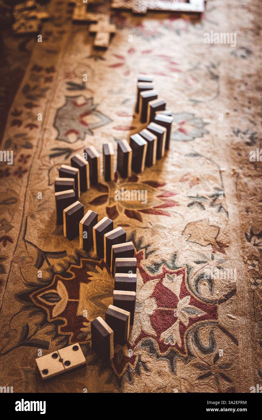 A 'Domino' snake in an English country house in Devon Stock Photo - Alamy