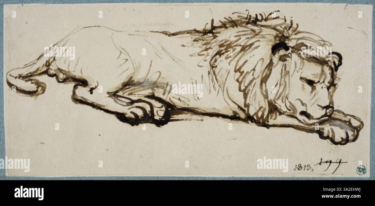 This painting from Rembrandt’s circle shows a lion sleeping. The soft ...