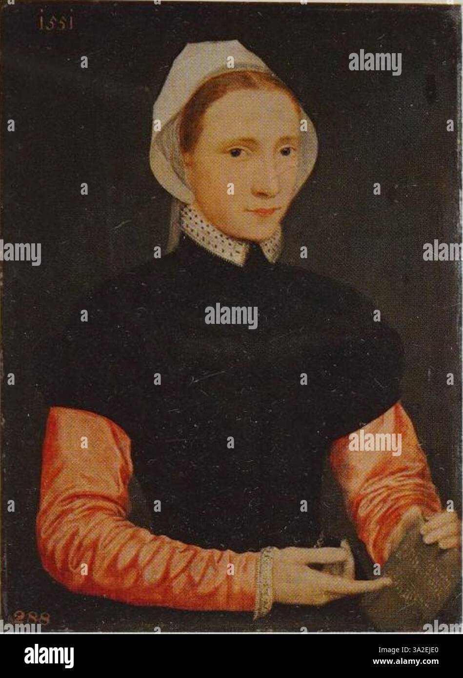 'A009' by Willem Key (circa 1515/1516–1568) presents a detailed ...