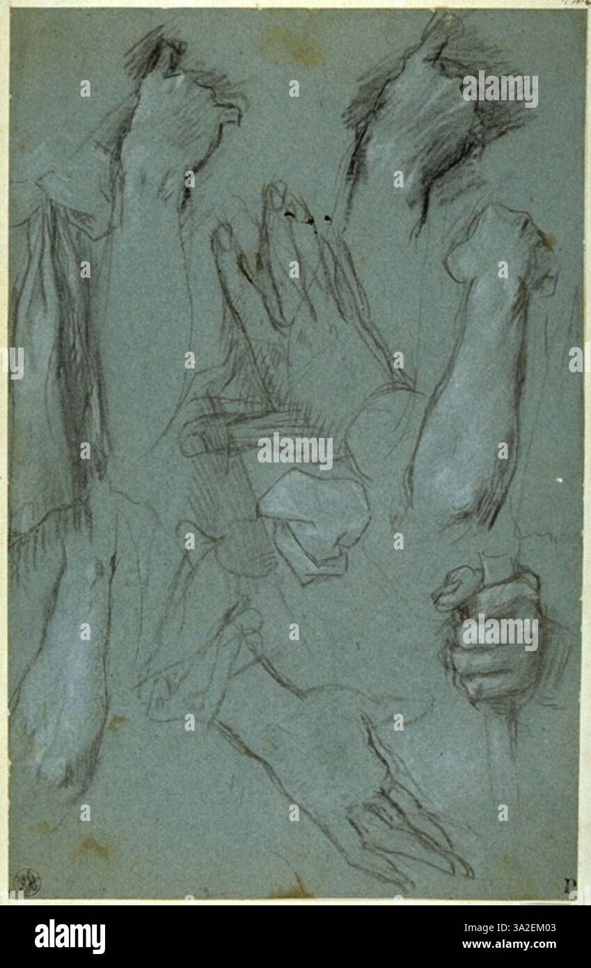 Study sheet focusing on arms and hands, with detailed anatomical ...