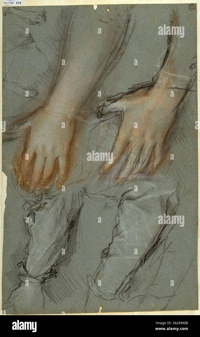 Study sheet featuring two forearms and two sleeves, with emphasis on ...