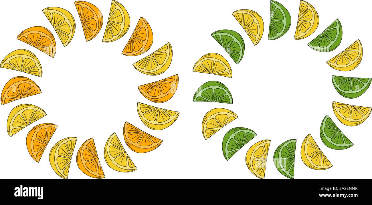 Orange Lemon and lime slices Circular Frame border Citruses fruits Copy ...