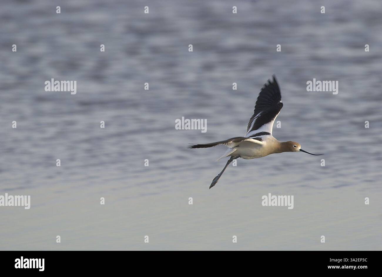Tule16 hi-res stock photography and images - Alamy