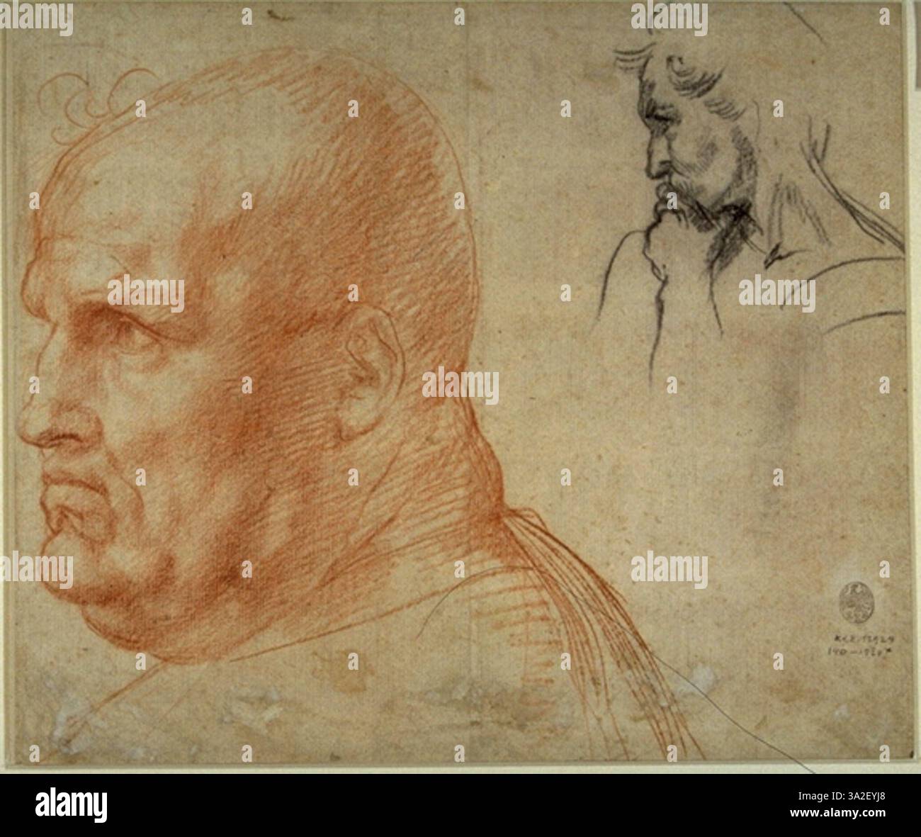 This study by Andrea del Sarto features two heads, focusing on the ...