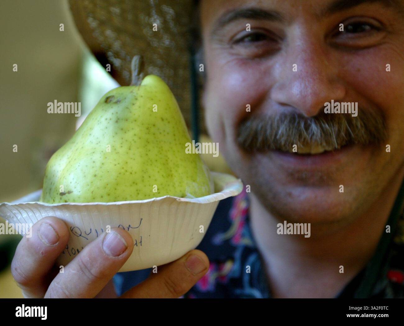 Pear farmer Steve Mc Quillan displays his pear in the biggest pear ...