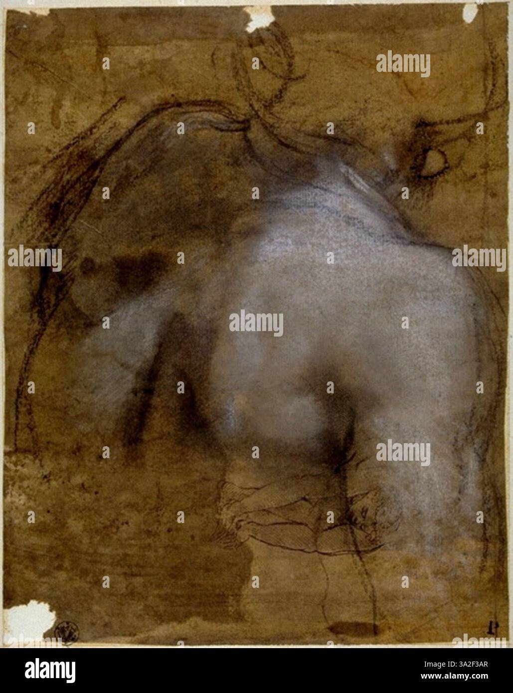 Study of a male figure bending towards the ground, with a focus on ...