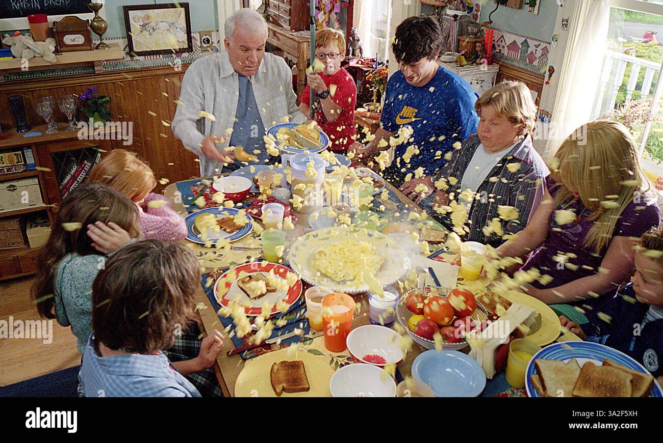 RELEASE DATE: December 25, 2003 MOVIE TITLE: Cheaper By The Dozen ...