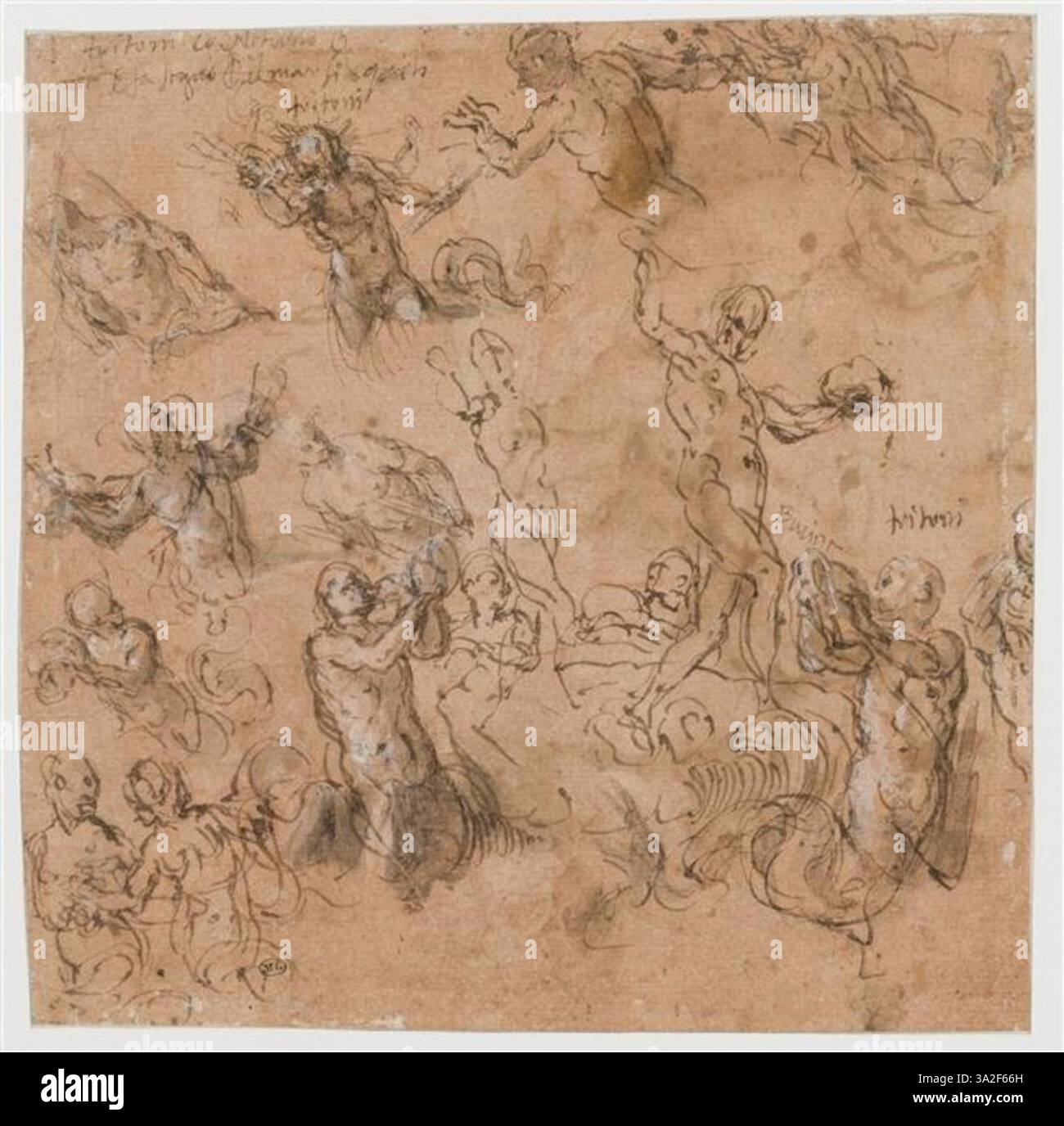 This verso depicts marine gods, including nereids and tritons, typical ...