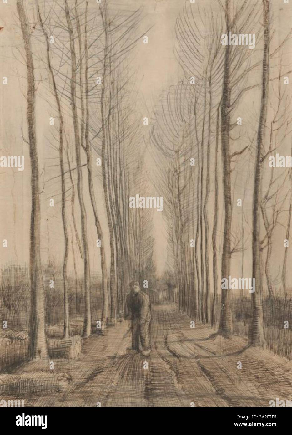 Van Gogh’s use of vibrant colors and dynamic brushwork conveys both ...