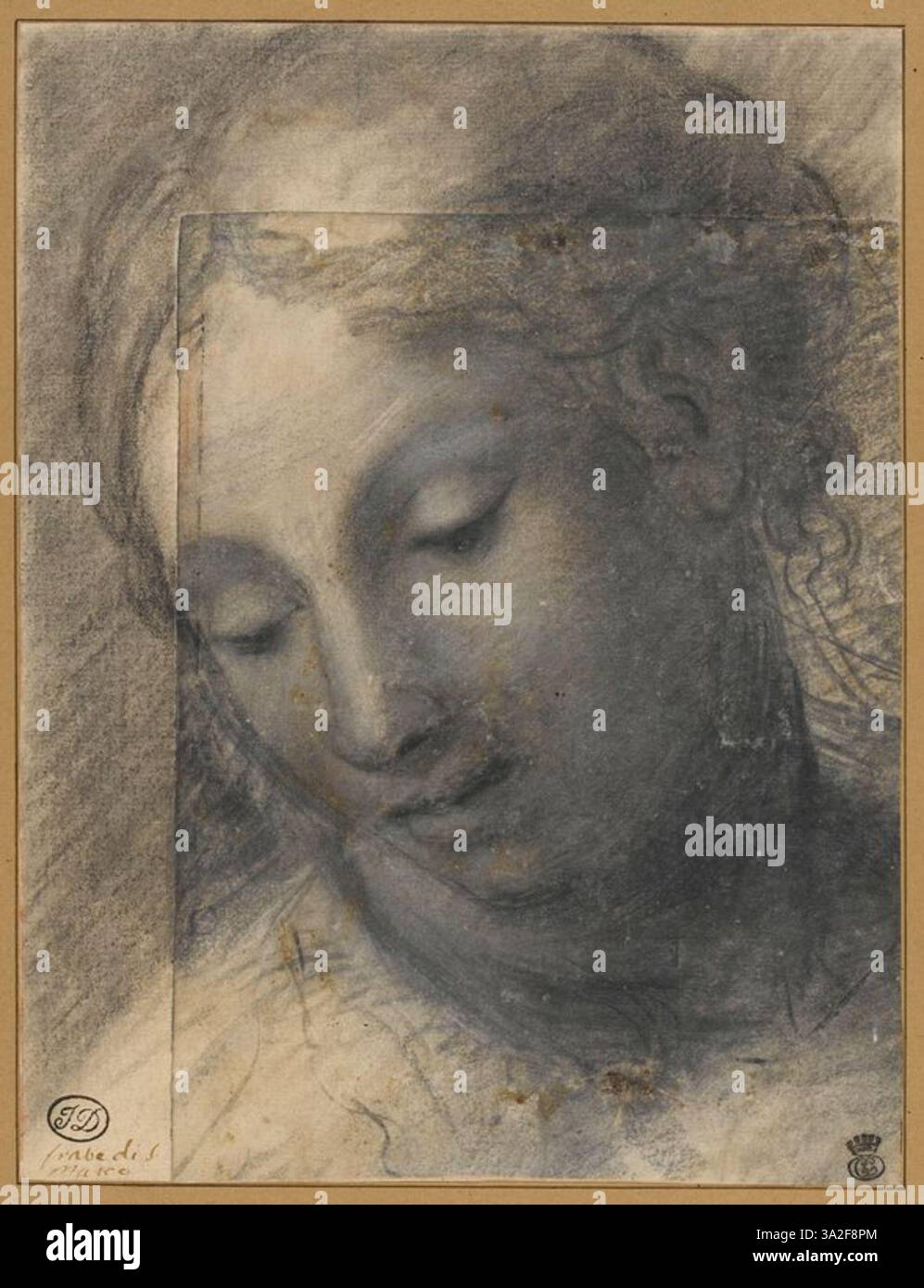 This study by Fra Bartolomeo depicts a woman with her head slightly ...
