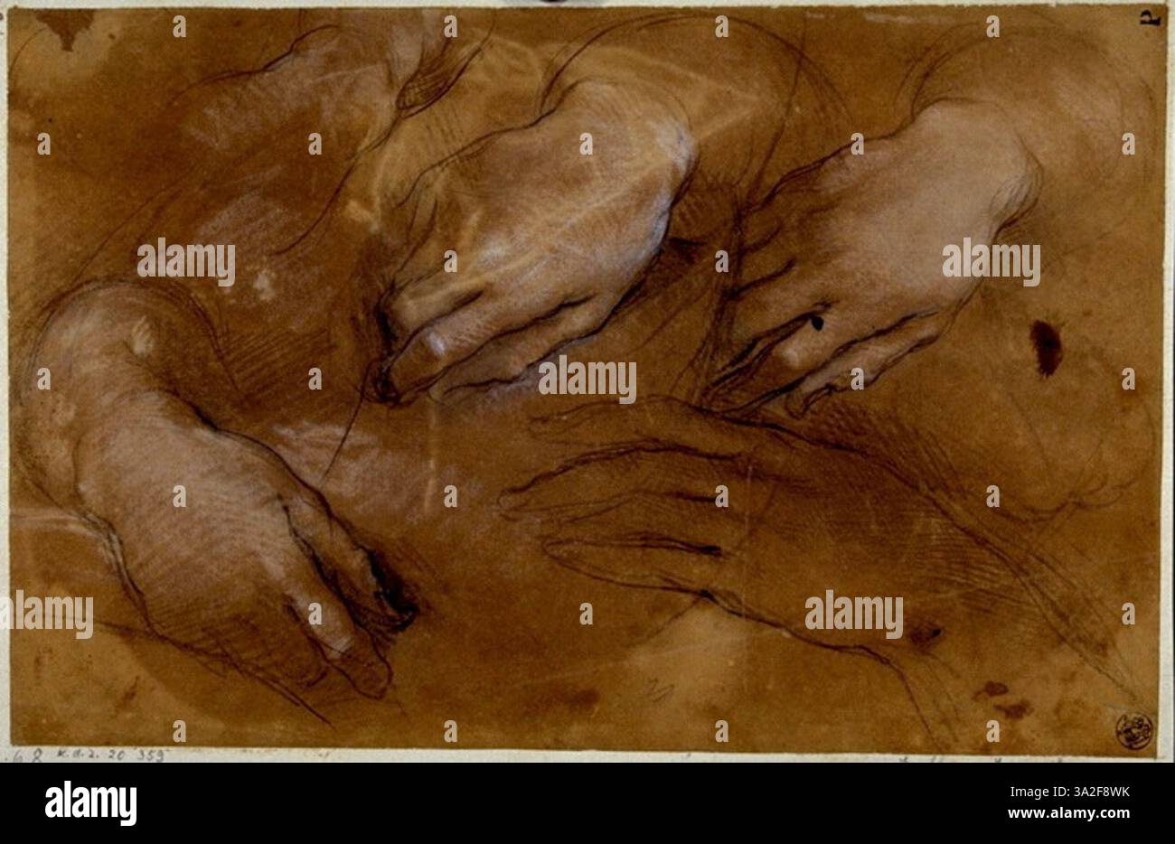 Barocci’s study of hands, focusing on anatomical detail and the ...
