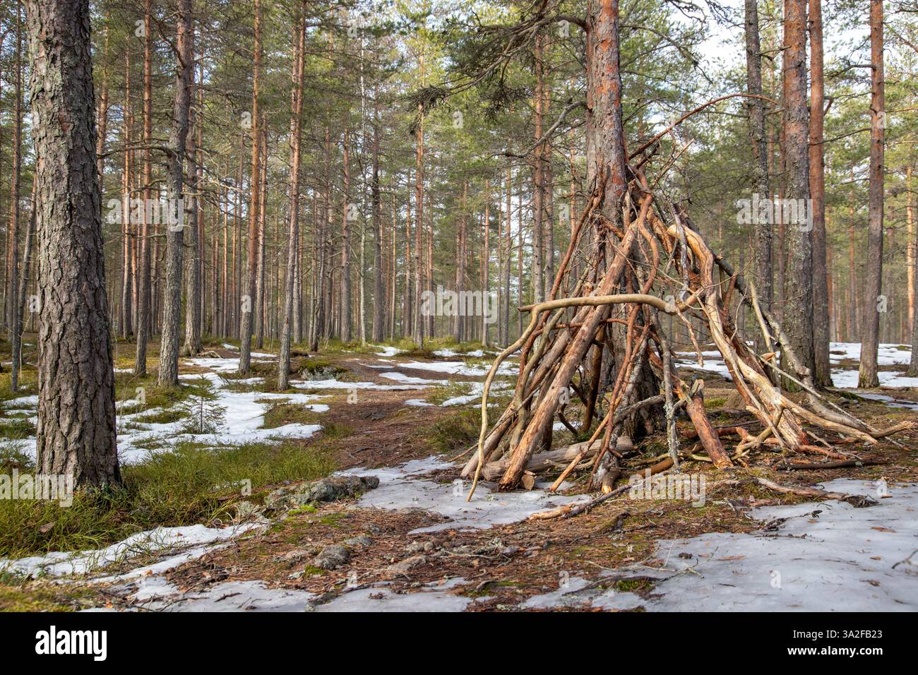Early spring landscape in forest with melting snow Stock Photo - Alamy