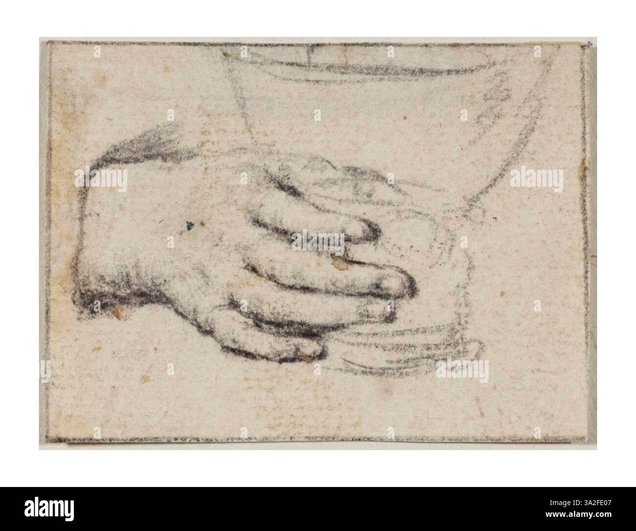 This study by Frans van Mieris focuses on a hand holding a roemer, a ...