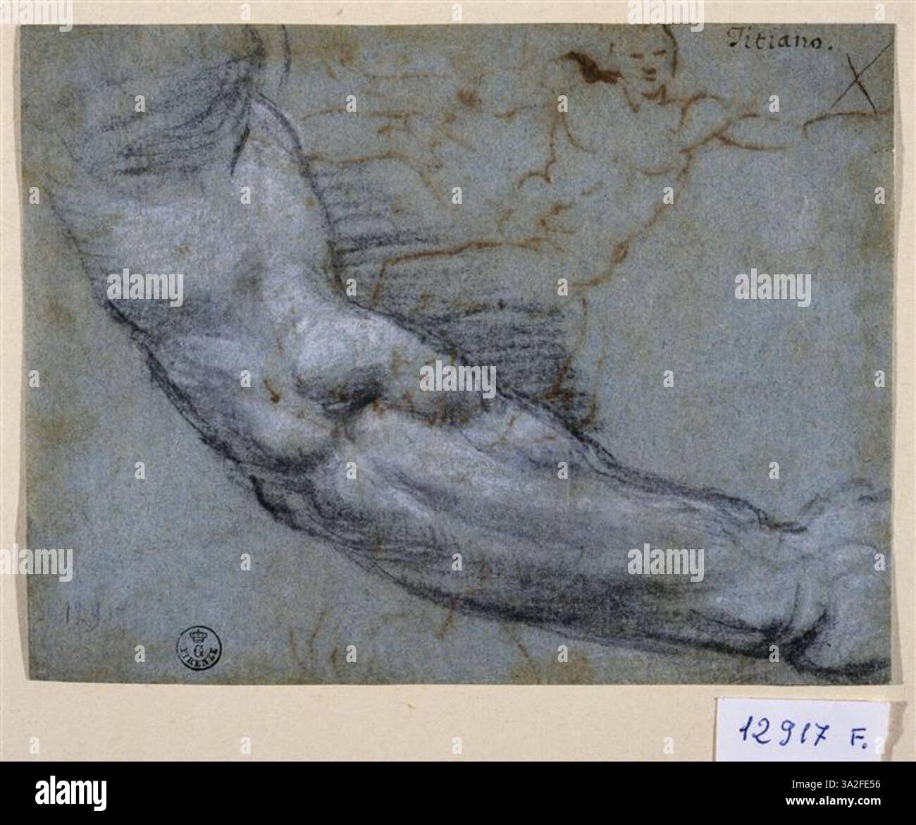 This study by Titian focuses on the anatomy of a right arm, showcasing ...
