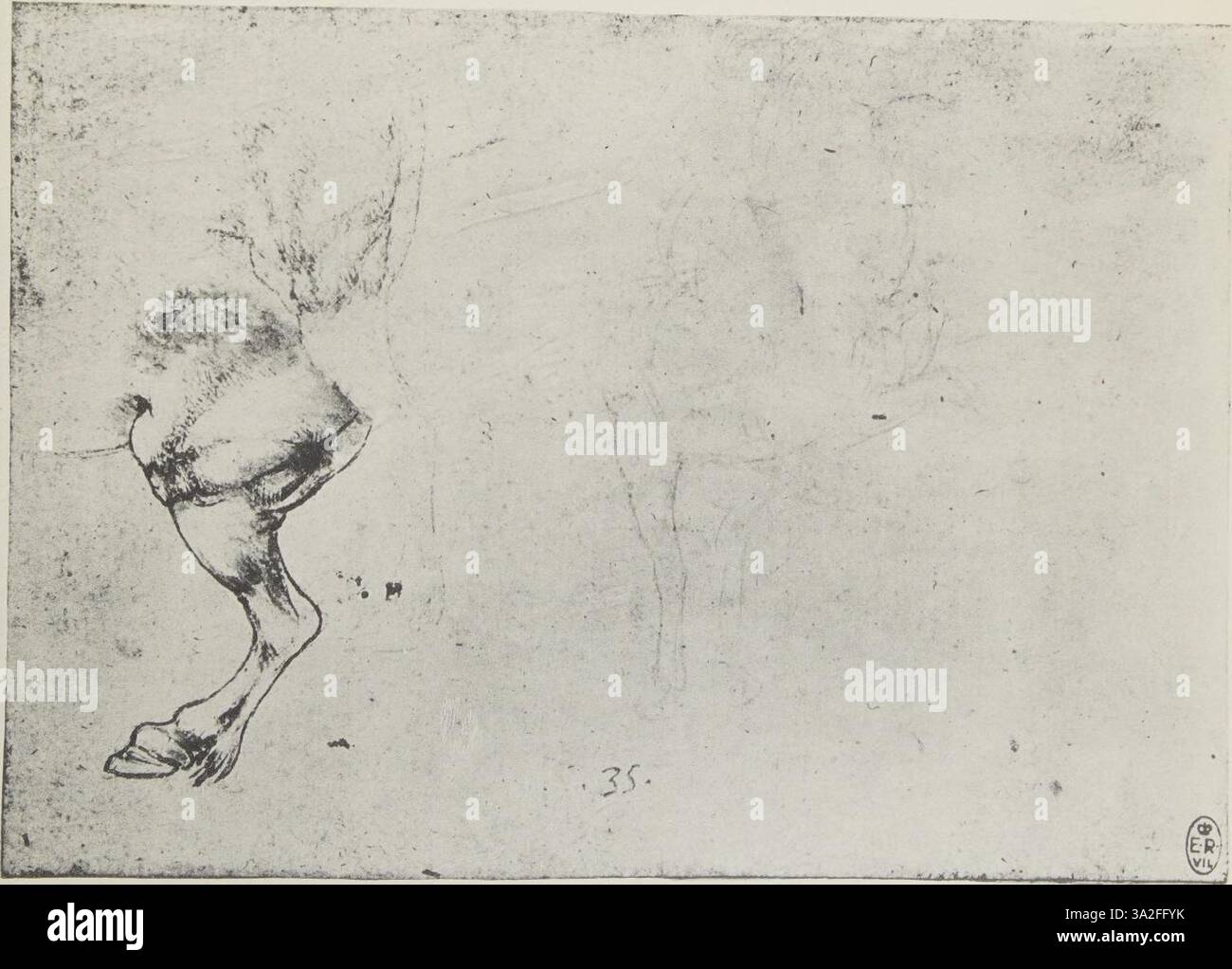 This work by Leonardo da Vinci, cataloged as Clark 12316, highlights ...