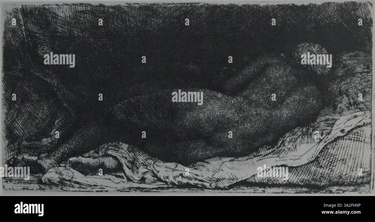 'White and Boon, B205-II' demonstrates Rembrandt's ability to capture ...