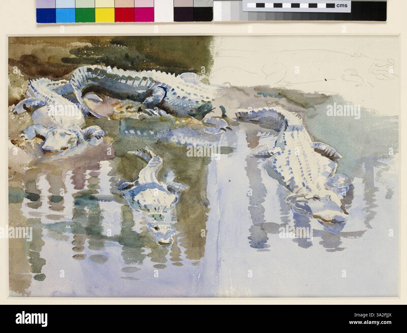 'Alligators' by John Singer Sargent is a watercolor painting from 1917 ...