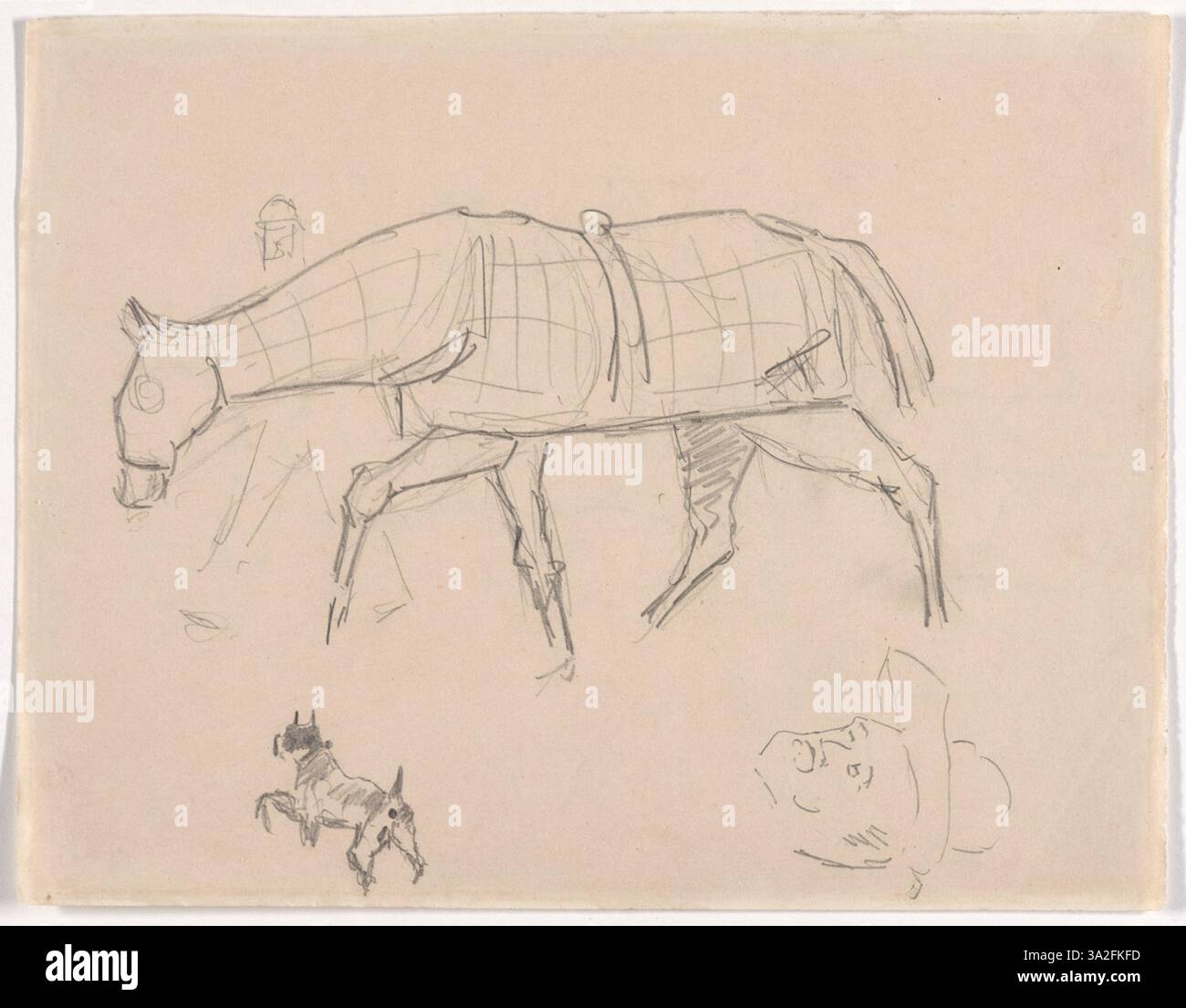 This sketch by Henri de Toulouse-Lautrec shows studies of a horse ...