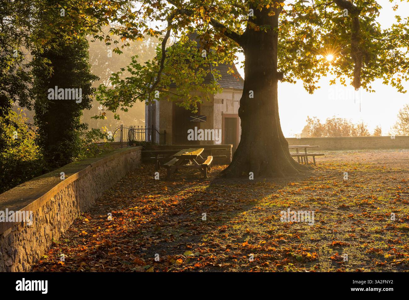 Park-Pavillon im ersten Sonnenlicht im Herbst, Schlosspark Trebsen ...