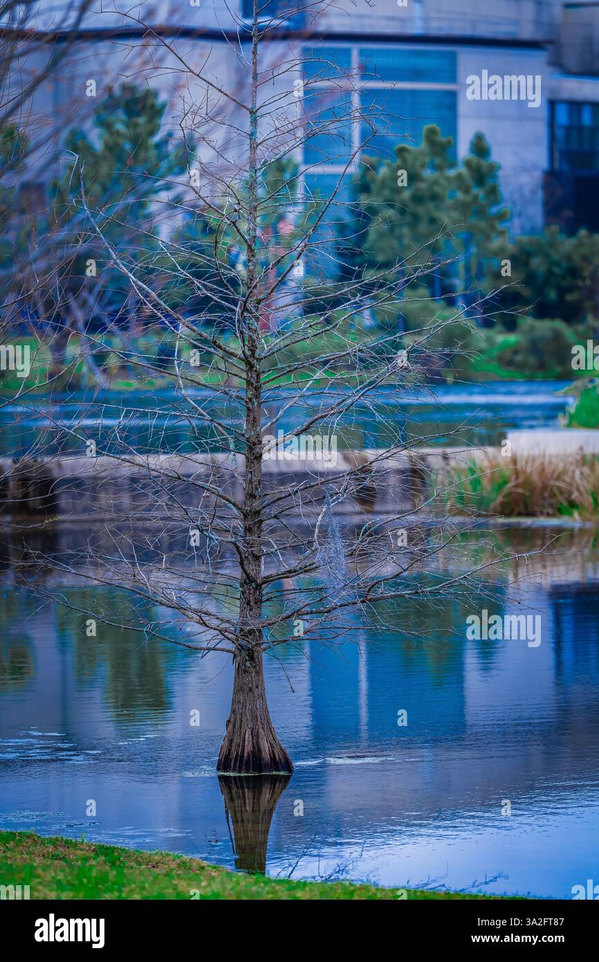 Beautiful scenery setting sun shaded hi-res stock photography and images - Alamy