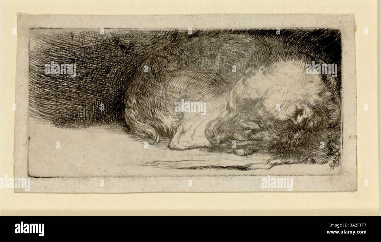 In this painting, Rembrandt portrays the subject with fine attention to ...