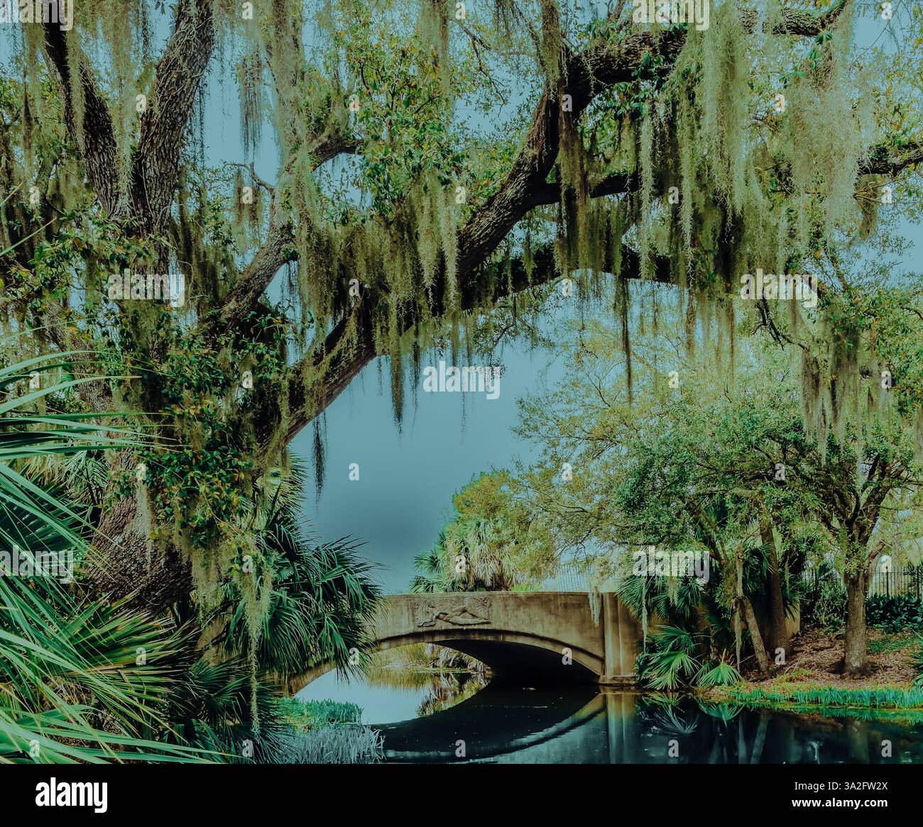 Moss covered bridge hi-res stock photography and images - Alamy