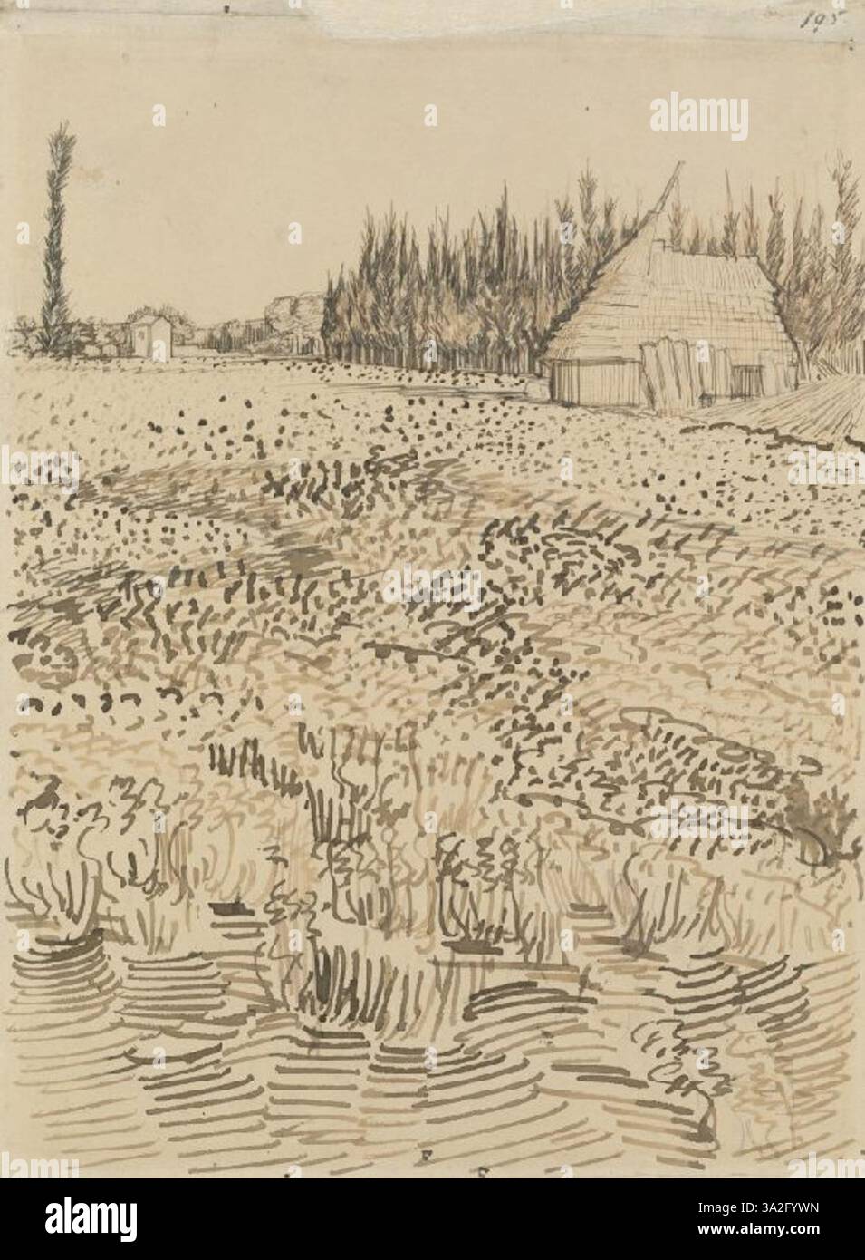 Vincent van Gogh’s work depicts the power of nature with vivid color ...