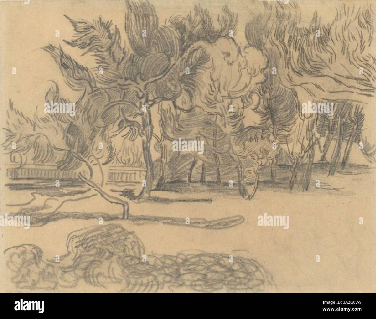 Vincent van Gogh’s painting captures the raw emotional power of his ...