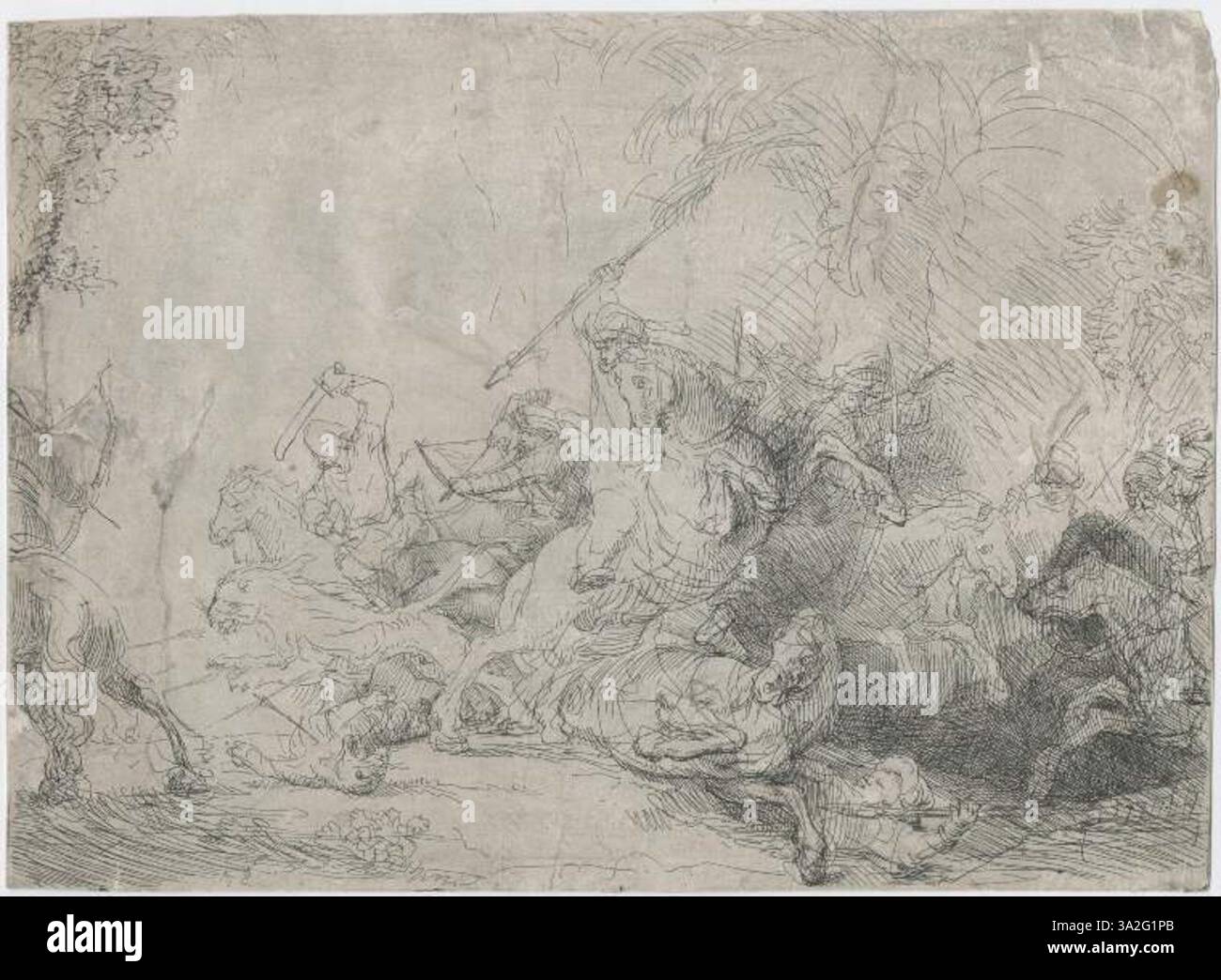 This large etching by Rembrandt, *The Large Lion Hunt*, portrays a ...