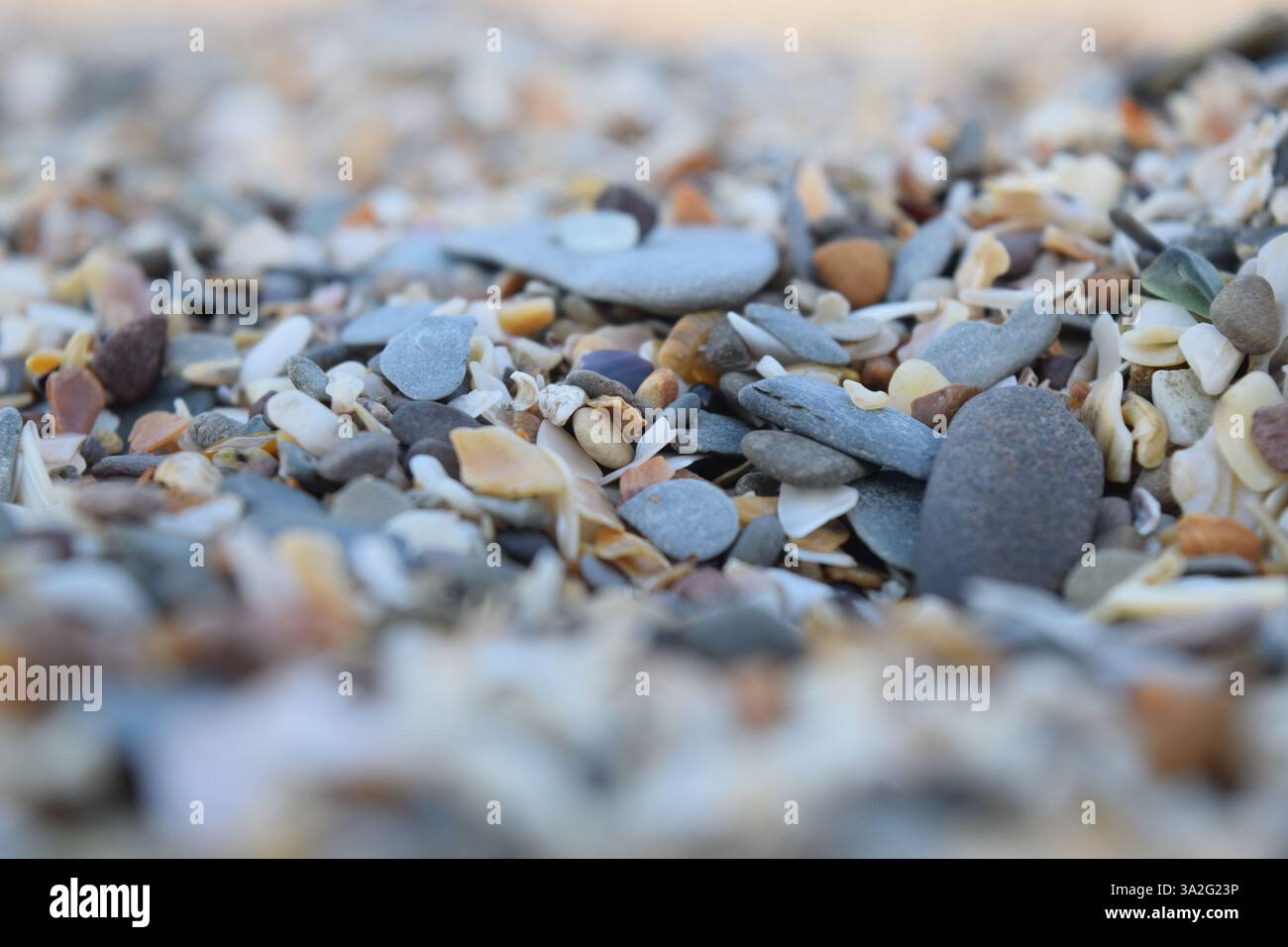 Pebbles and broken shells hi-res stock photography and images - Alamy