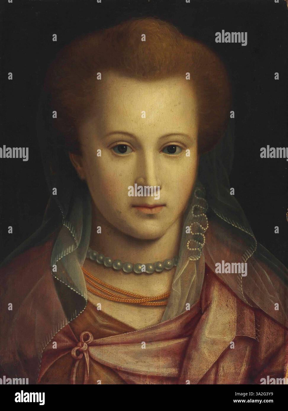 This bust-length portrait of a lady by Frans Floris I focuses on the ...