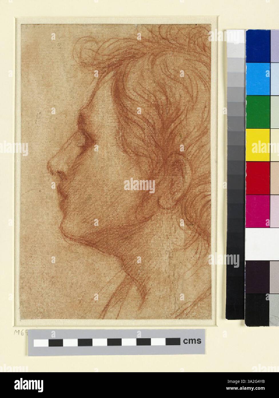 This profile portrait of a youth by Andrea del Sarto demonstrates the ...
