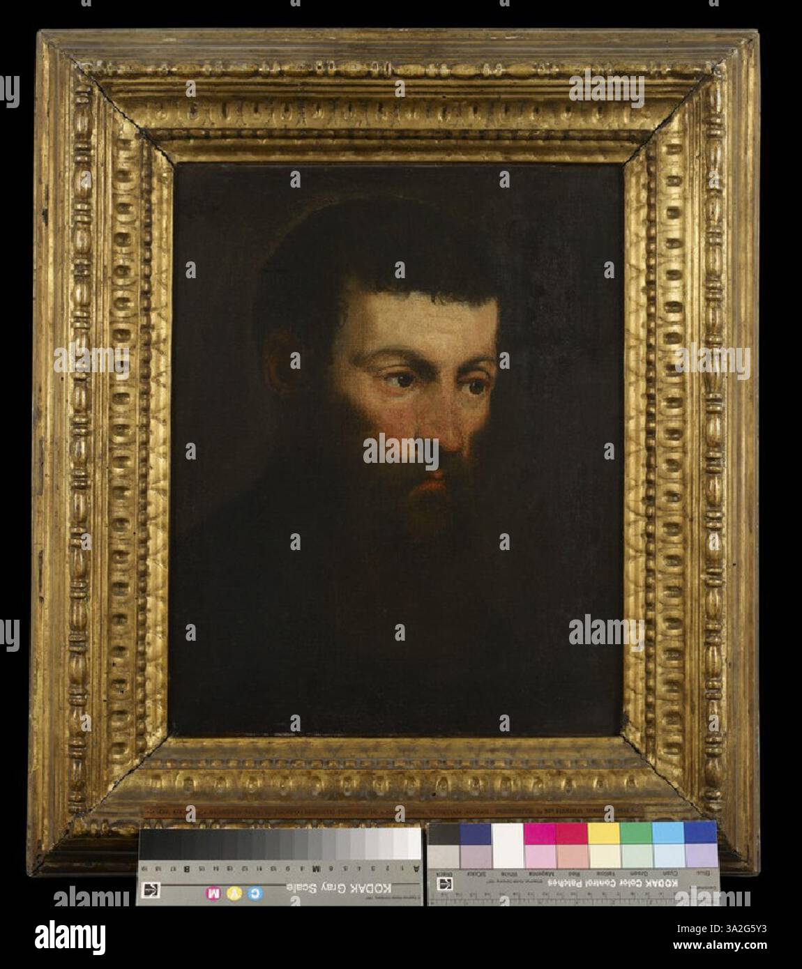 This work by Jacopo Tintoretto features a bearded man, captured in a ...