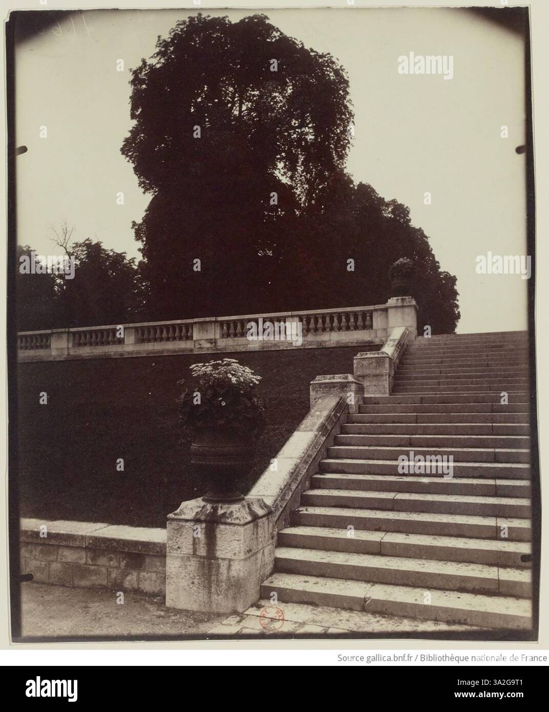 This photograph by Eugène Atget shows the large open spaces, tree-lined ...