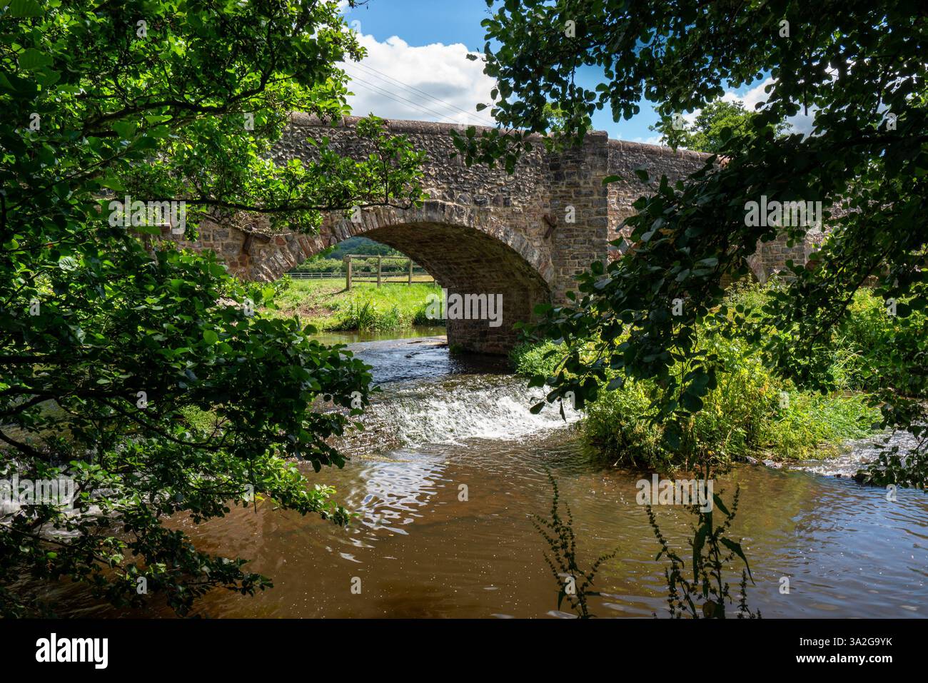 Culmstock bridge, devon with river flowing in summer sun with green ...