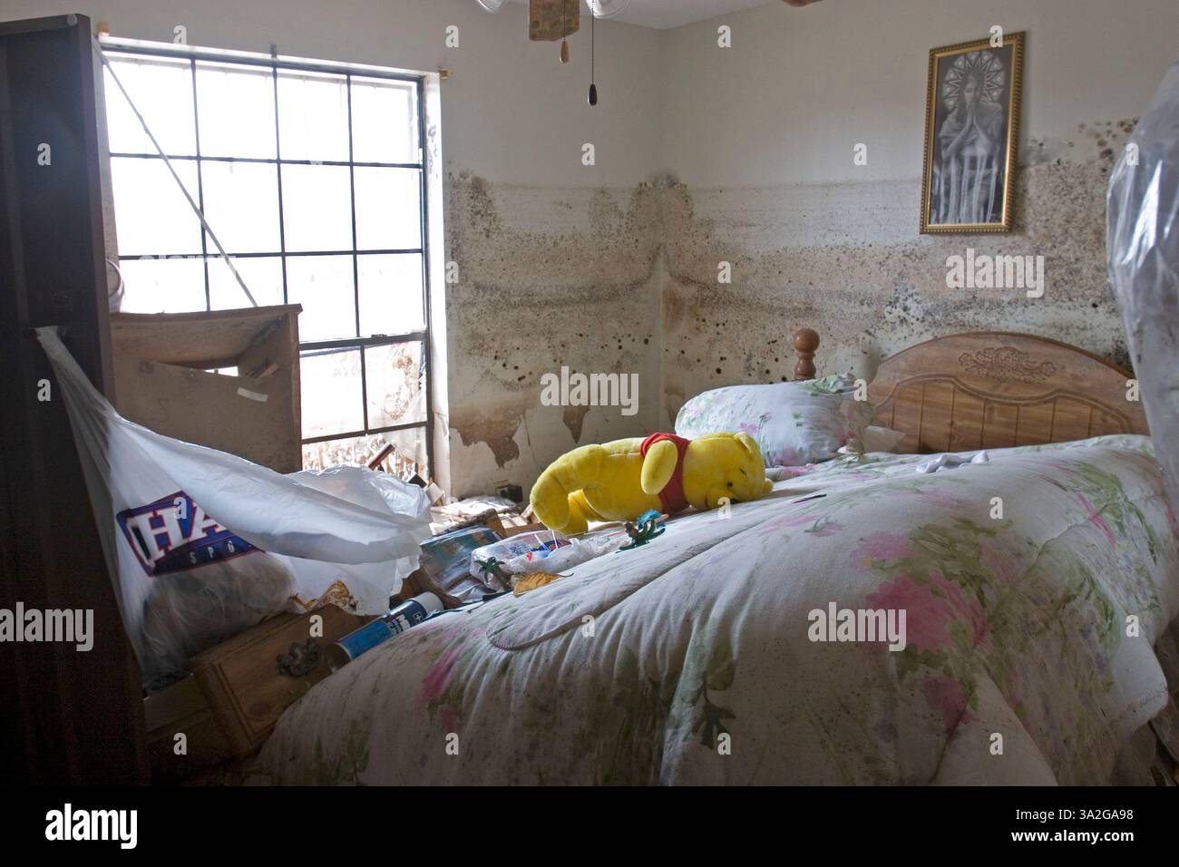 Usa disaster shelter bed hi-res stock photography and images - Alamy